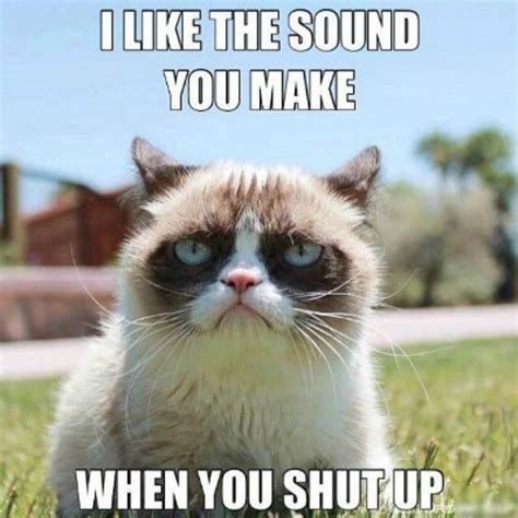 21 Best Grumpy Cat Memes And Funny Quotes About Love And Life Yourtango