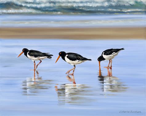 Threes Company Buy Art Now