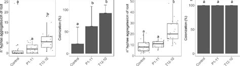 Effect Of Bacterial Strains On Root Colonization By S Indica Ten Days Download Scientific