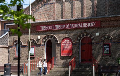 Booth Museum Of Natural History Brighton And Hove Museums