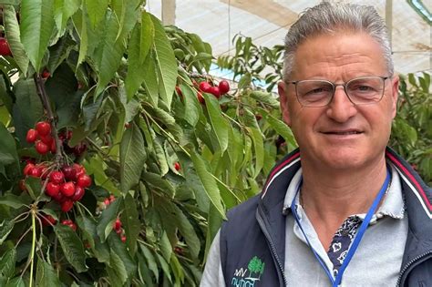Vivai Fortunato Revives Cherry Farming In Puglia With A Rootstock Trial Field