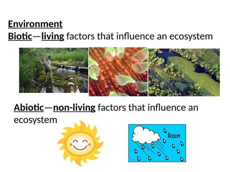 Environmental Engineering Introductionpptx