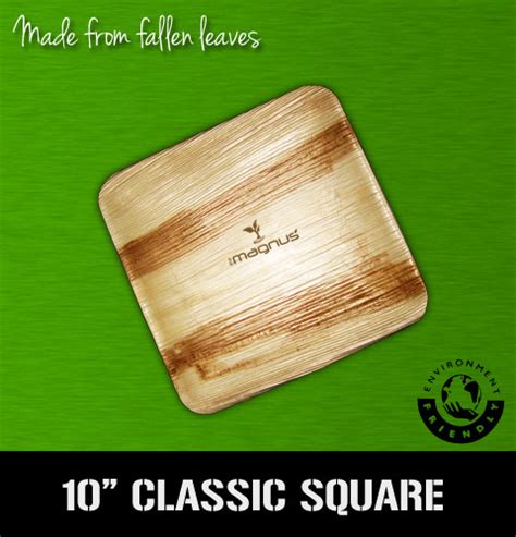 Biodegradable Dinnerware At Best Price In Coimbatore By The Magnus Id