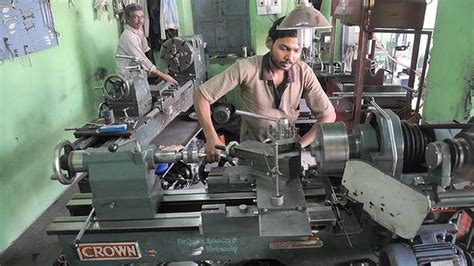 Casuarina Plant Benefits And Uses Ii Current Affairs Upsc