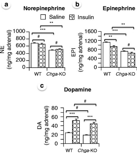 Adrenal Catecholamine Content In Both Quiescent And Hypoglycemic Mice