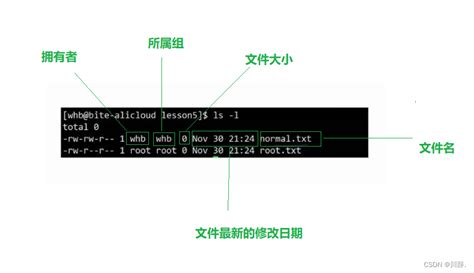 【玩转linux】有关linux权限 liunx有root和 csdn博客