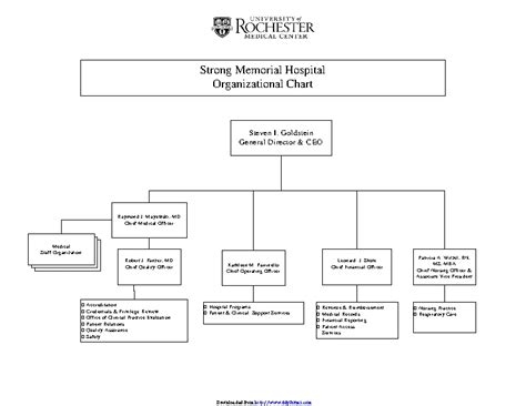 Hospital Organizational Chart 3 Pdfsimpli