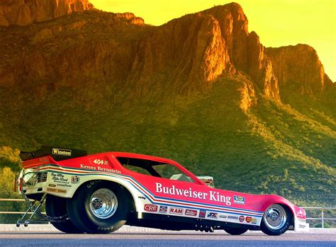 Funny Cars Beautiful