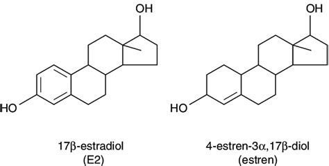Estradiol Structure