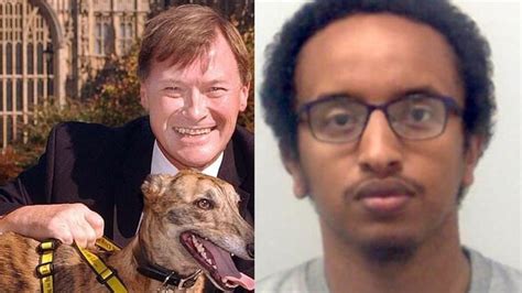 Killer Of Mp Sir David Amess Was Exited From Prevent Too Quickly Review Finds Politics