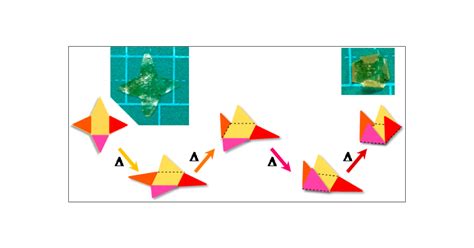 Polymers With Multishape Memory Controlled By Local Glass Transition