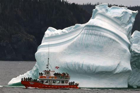 Icebergs In Abundance Already A Banner Year In Newfoundland The