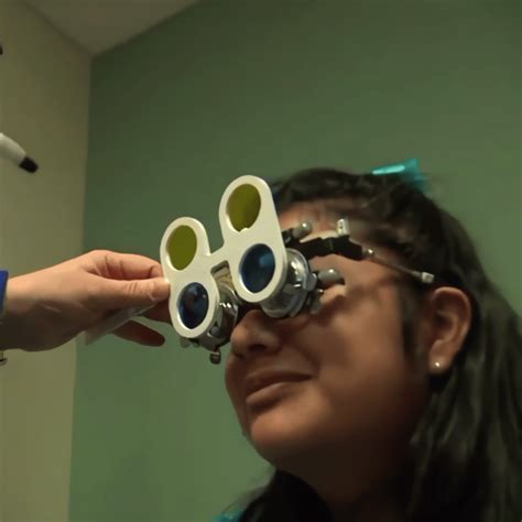 The Limbic System Are Emotions And Memory Linked To Visual Processing