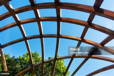 Garden Glulam Domes Lattice Infrastructure Wood Beams Roof Structure In