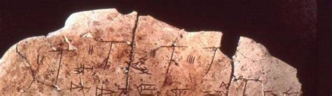 This Is Part Of A Oracle Bone