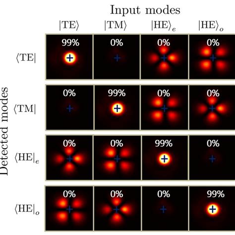 Experimental Modal Decomposition Of Vector Vortex Modes In The ±1
