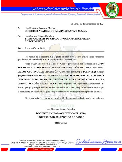 Carta Aprobacion 2 Pdf