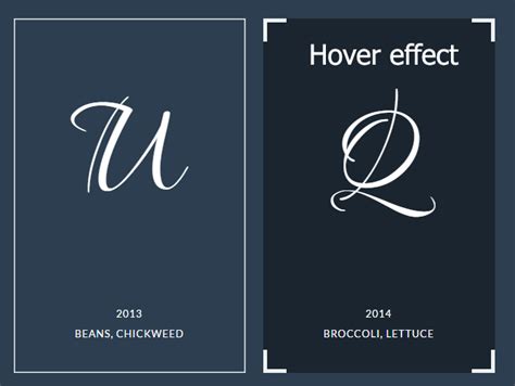 Svg Border Animation Css Stack Overflow