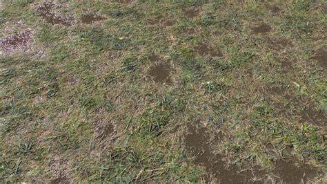 Seamless Dirt Grass Texture