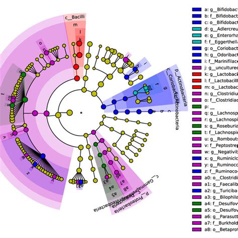 Cladogram Plot Showing Bacterial Taxa Enriched In Mice Among Groups