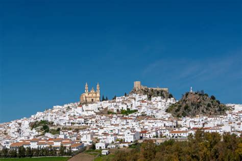 870 Olvera Fotos Fotografías De Stock Fotos E Imágenes Libres De