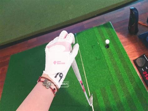 동탄 스크린 골프연습장 입문기 레이크프리미엄골프아카데미 첫레슨 네이버 블로그