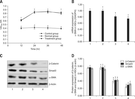 A Effects Of Mesoderm Specific Transcript Homologue Mest On Download Scientific Diagram