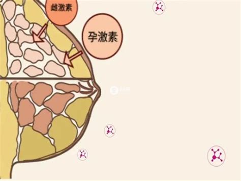 妈富隆说明书完整版 正确吃法、禁忌症及适应症 嗣恩