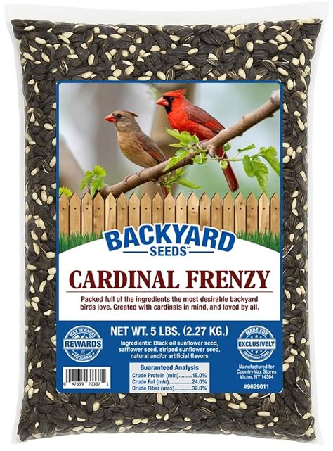 What Is Bird Seed Made Of Surprising Ingredients You Should Know Birds