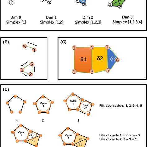 Schematic Images Illustrating The Key Concepts In Algebraic Topology