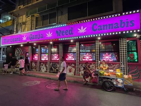 Will 5 Star Cannabis Cuisine In Thailand Catch On We Try The ‘first