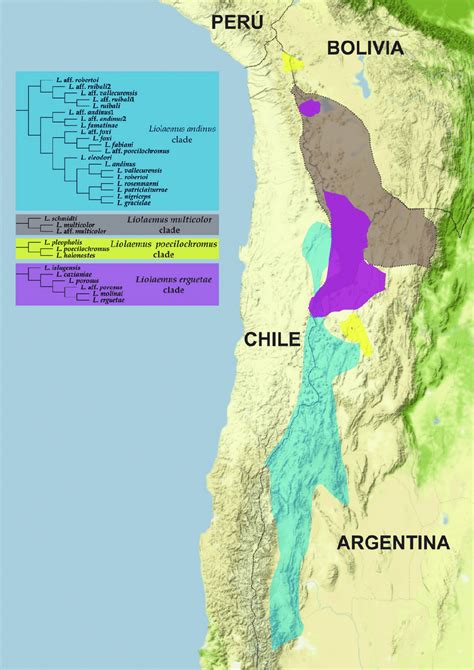 Map Showing Distribution Of The Taxa Members Of The Liolaemus Andinus
