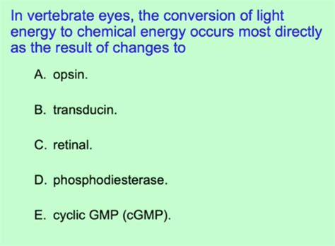 Neurons Synapses And Signaling Flashcards Quizlet
