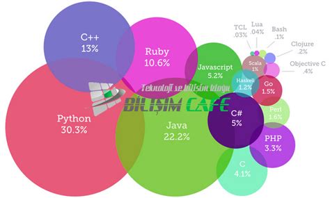 Programlama Dilleri Ve Gelişimi Bilişim Cafe