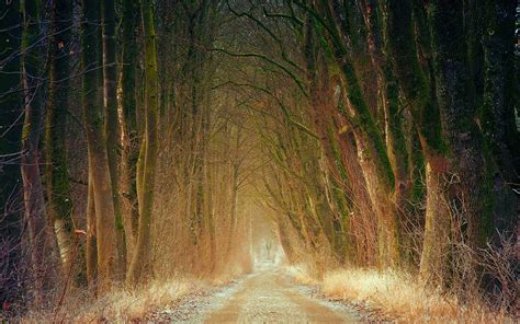 Breadcrumb Paths Christ Fellowship