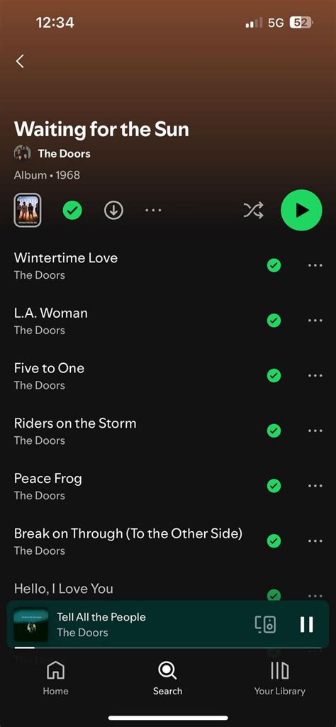 My Spotify Was Glitching Out And Put These Songs On This Album Rthedoors