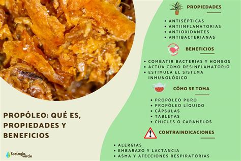 Propóleo Qué Es Propiedades Y Beneficios Guía Completa