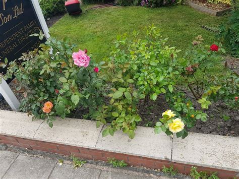 Brian Sharples And Son Ltd Added Brian Sharples And Son Ltd