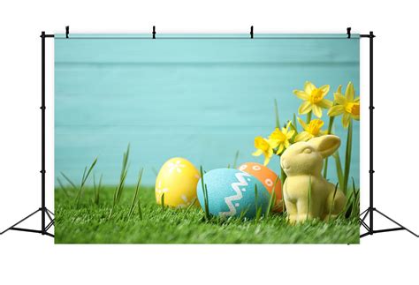 Easter Egg Backdrop Bunny Daffodil Field Backdrop Tww3 27
