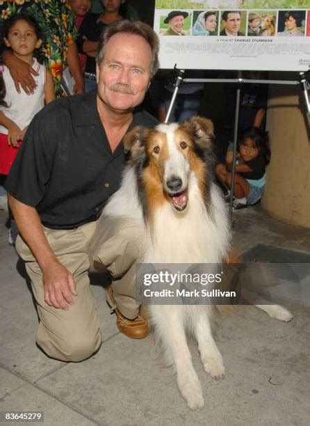 Jon Provost Photos And Premium High Res Pictures Getty Images