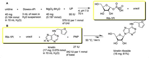 Scheme 4 Synthesis Of Kinetin Riboside With Intermediate Preparation