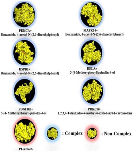 A Network Pharmacology Analysis On Drug‐like Compounds From Ganoderma