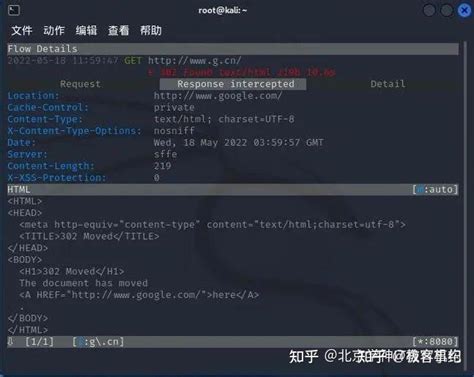 网络安全使用kali mitmproxy进行HTTP 中间人攻击MITM攻击实验原理实践 知乎