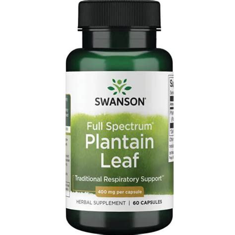 Swanson Liść Babki Lancetowatej O Pełnym Spektrum 400 Mg 60 Kapsułek