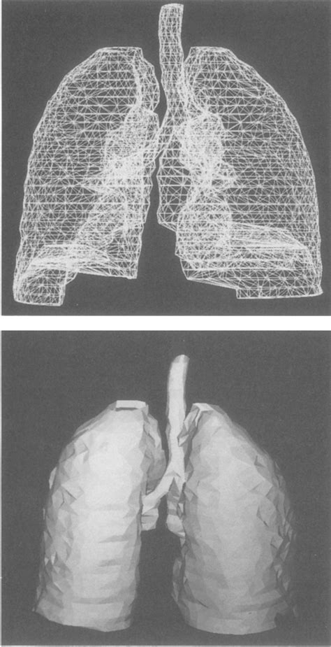 Figure 1 From Shape Reconstruction From Planar Cross Sections Semantic Scholar