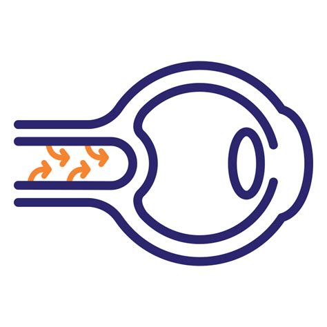 Optic Neuritis Optic Neuropathy Lions Eye Institute