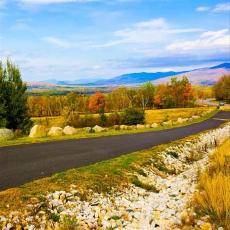 Play Roadkill By Laura Stroebel On Amazon Music