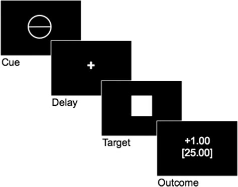 Sex Differences In The Relationship Between Inflammation And Reward