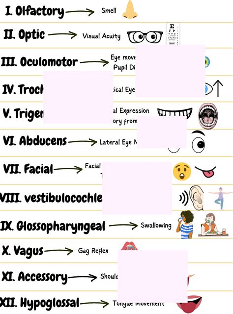 Cranial Nerves Made Easy Cranial Nerves Made Simple Ntba