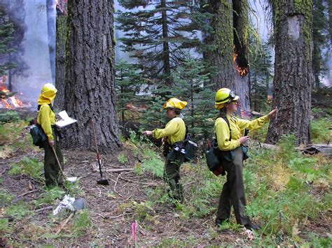 Jobs Board — Association For Fire Ecology